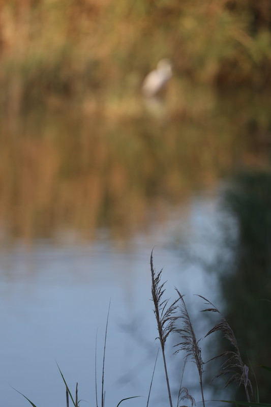 DAN 3427 — Postimages