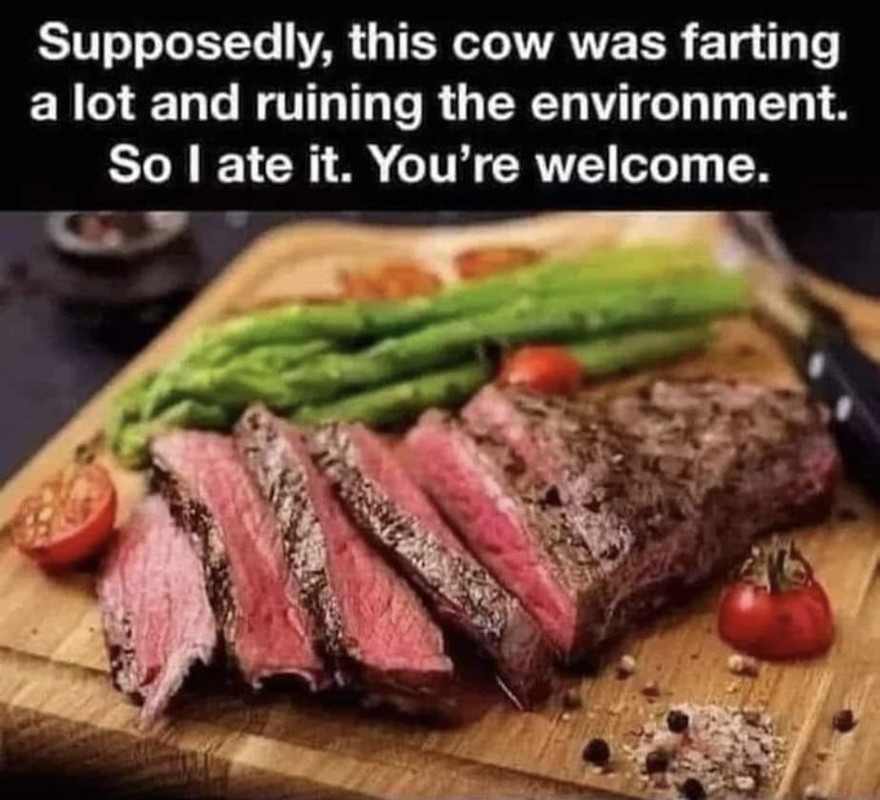 IMG 1243 — Postimages