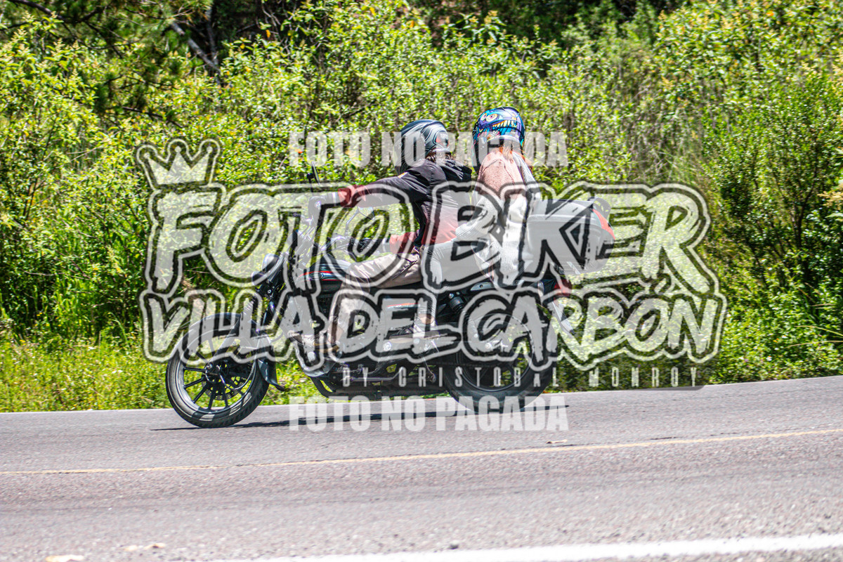 cvp8 137 — Postimages