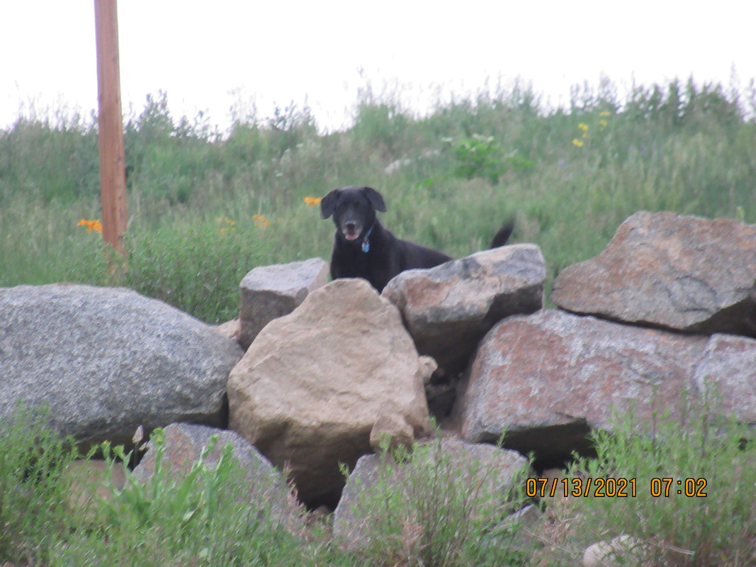 IMG 0604 — Postimages