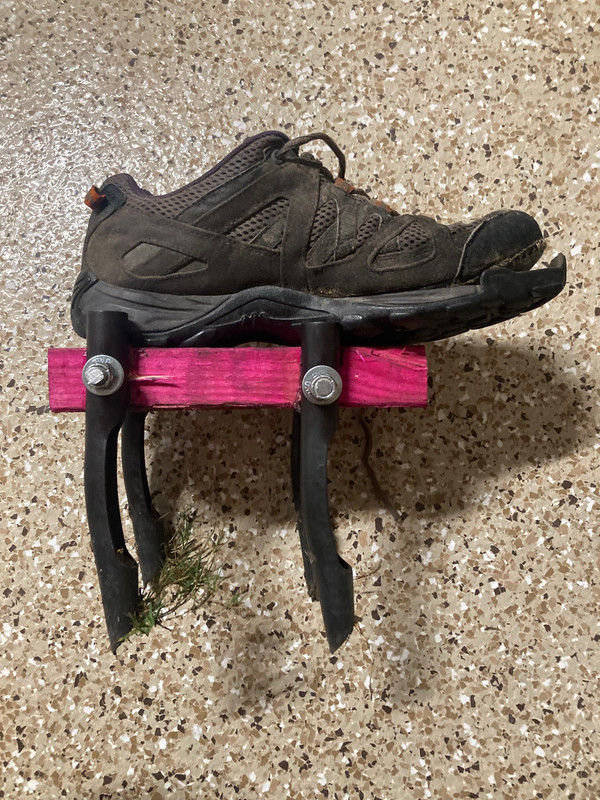 IMG 3223 — Postimages