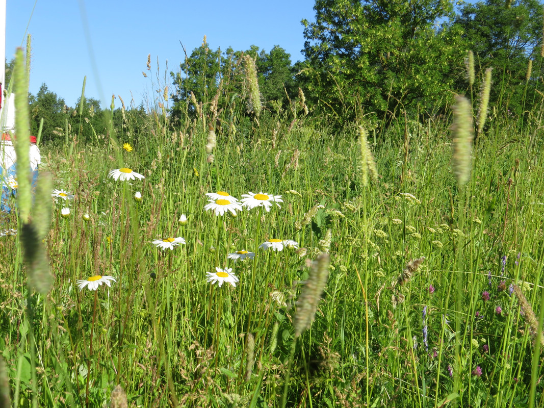 IMG 5048 — Postimages