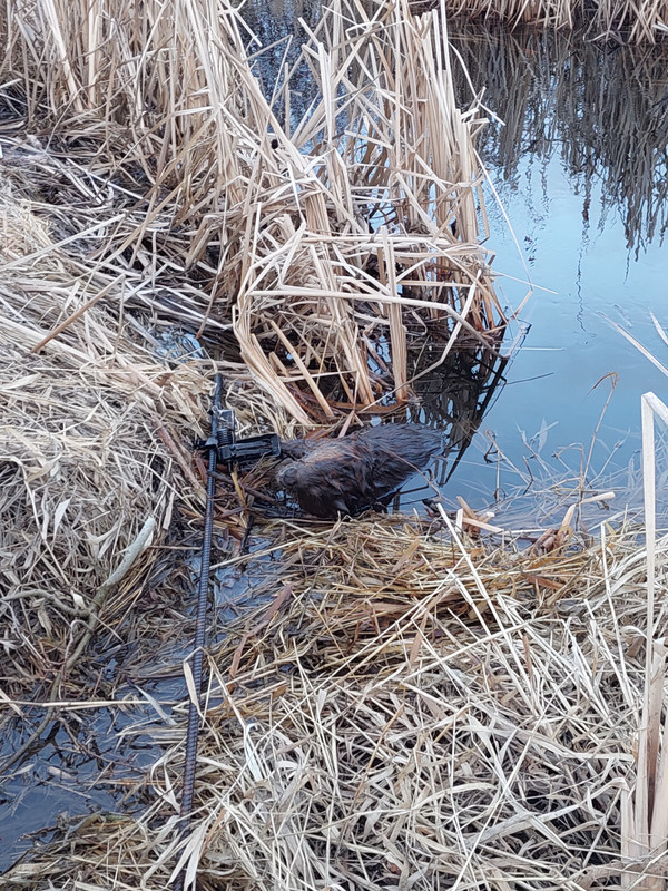 20230425 202939 — Postimages