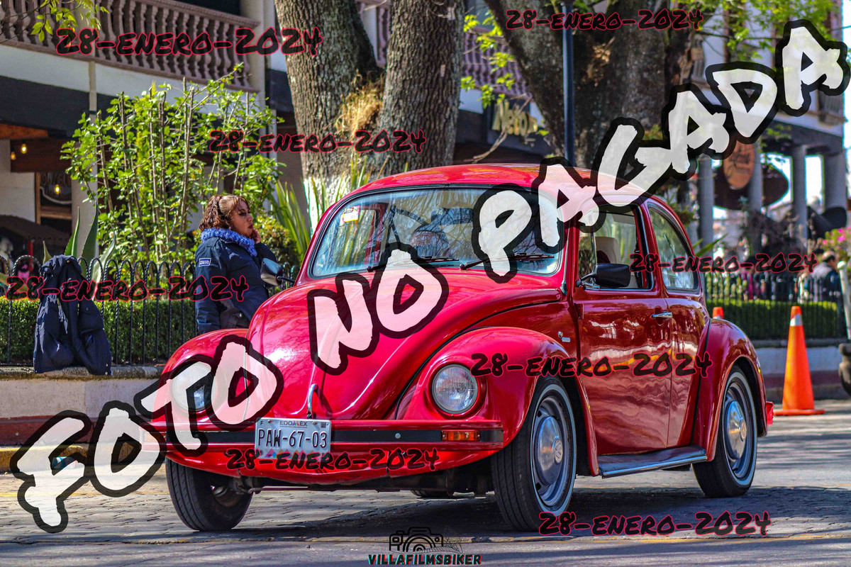 CV 519 — Postimages