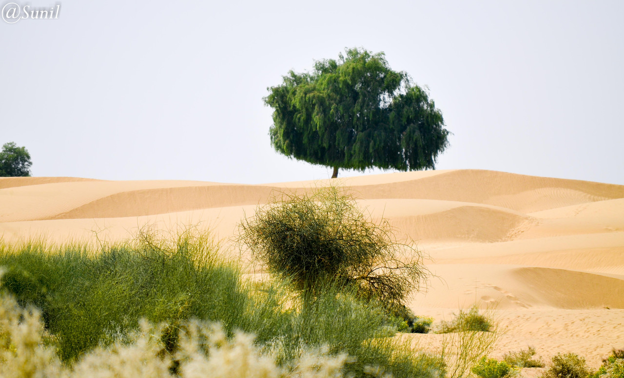 Drive to Munabao, the last Indian Railway Station on the rail link to ...