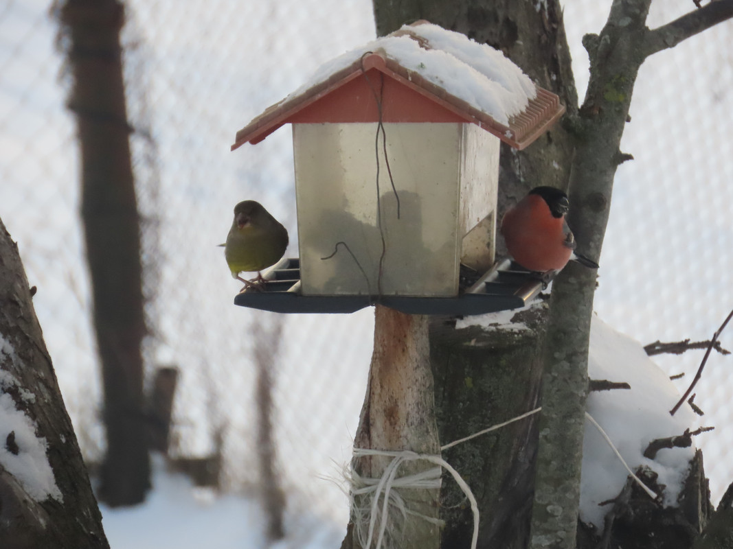 IMG 0032 — Postimages