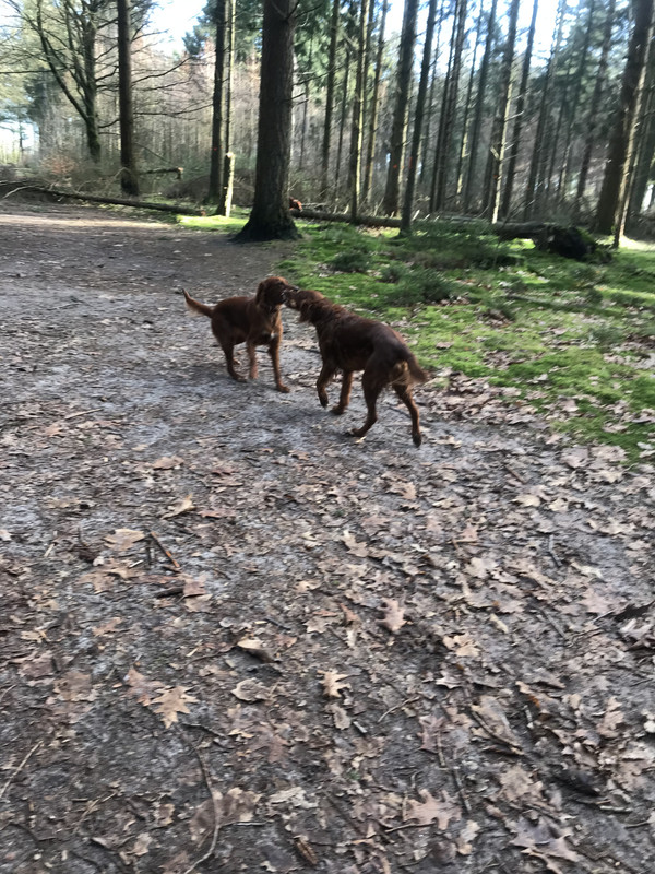 28 E4020 B D75 E 4 ADA 8234 A6583442404 C — Postimages