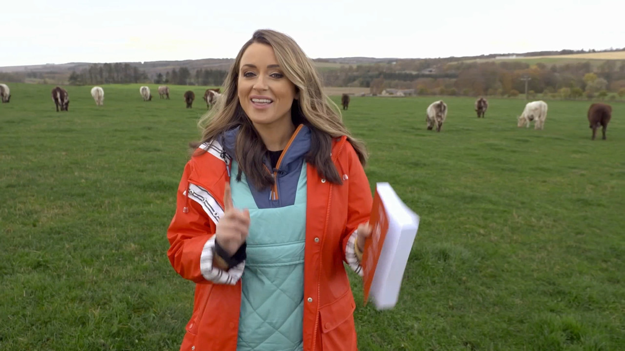 Landward 20221204 08150845 ts snapshot 09 53 933 — Postimages