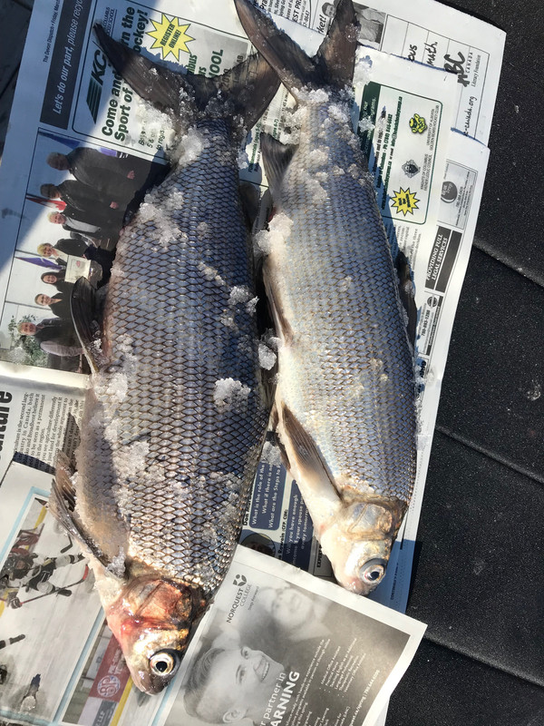 IMG 0551 — Postimages