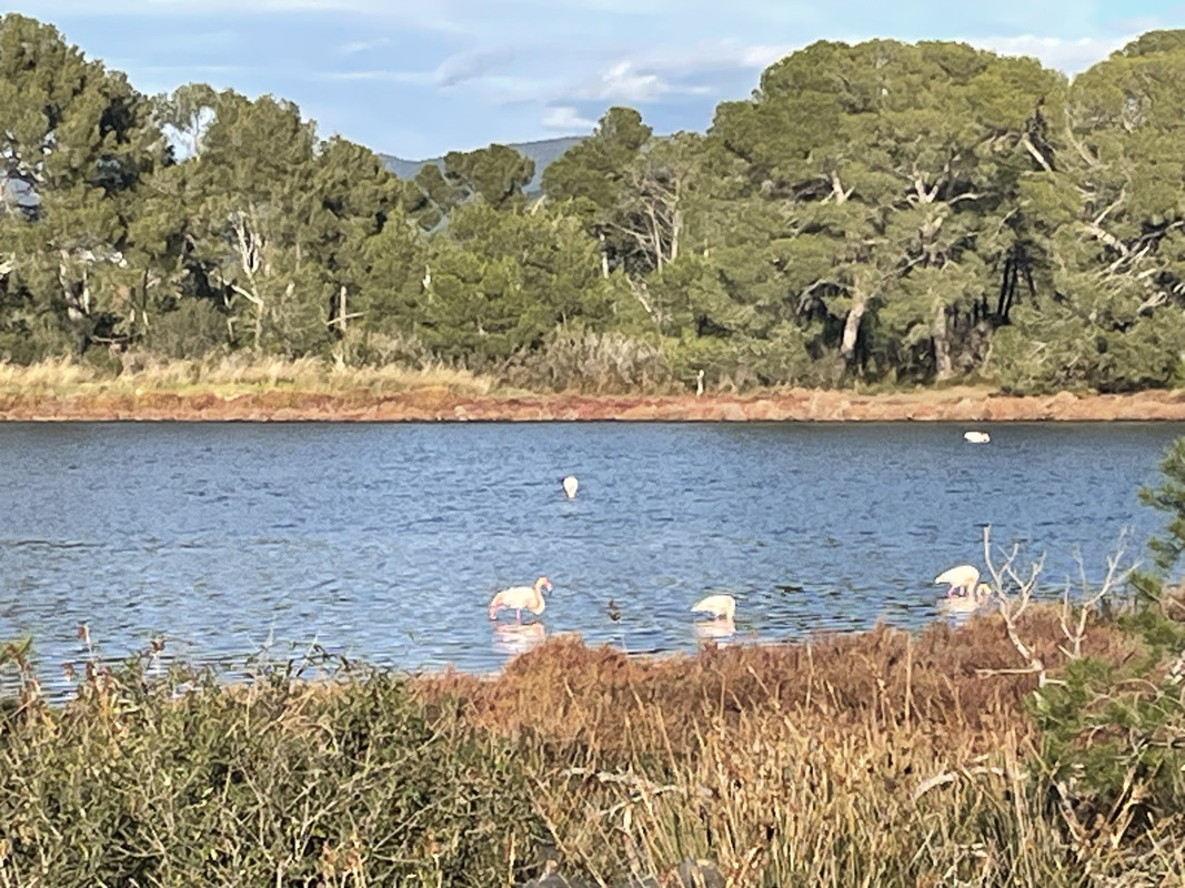 IMG 0688 — Postimages