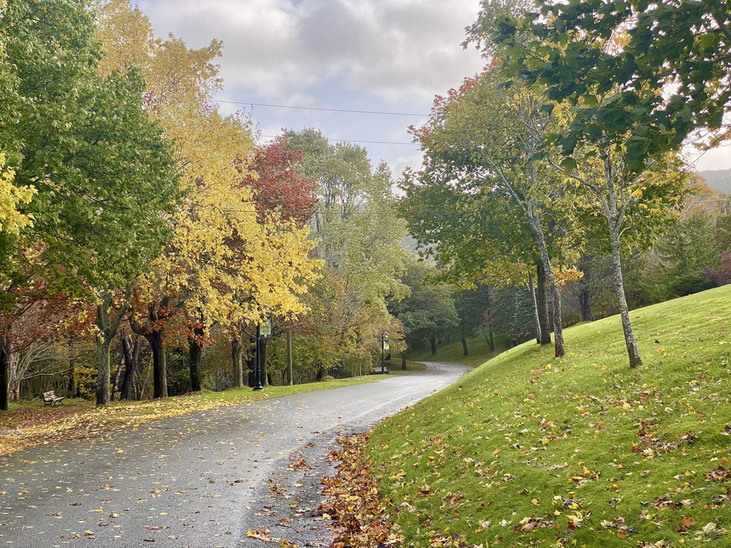 IMG 4139 — Postimages