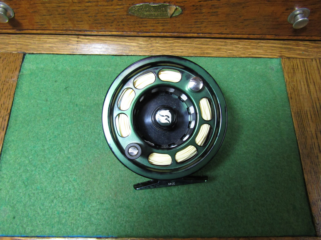 IMG 9668 — Postimages