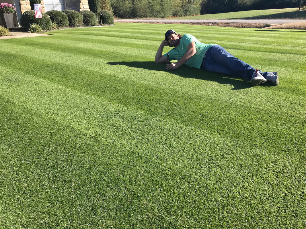 What's the story on Bermuda + Rye? | Lawn Care Forum