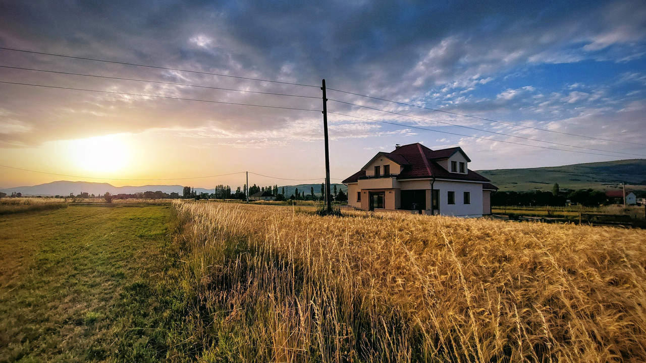 20240707 195227 EFFECTS — Postimages