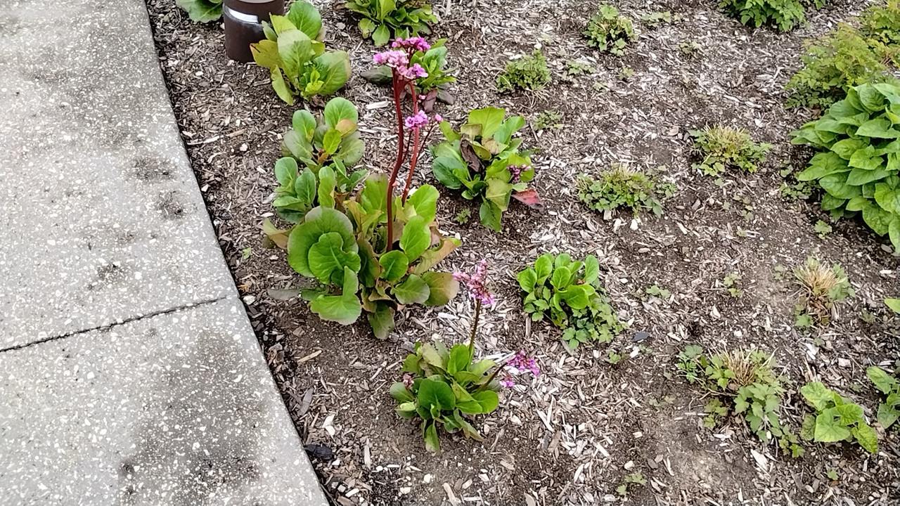 IMAGE 20230513 134731 261 — Postimages