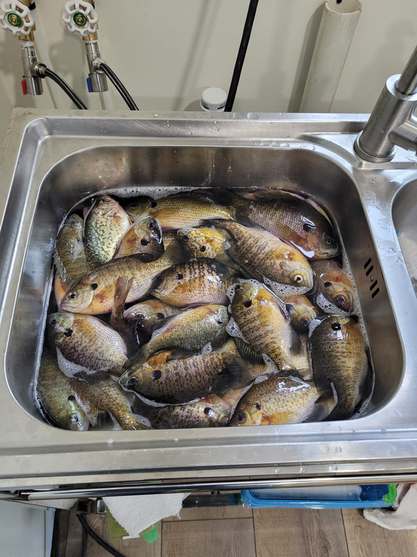 17057848045502184974222269289610 — Postimages