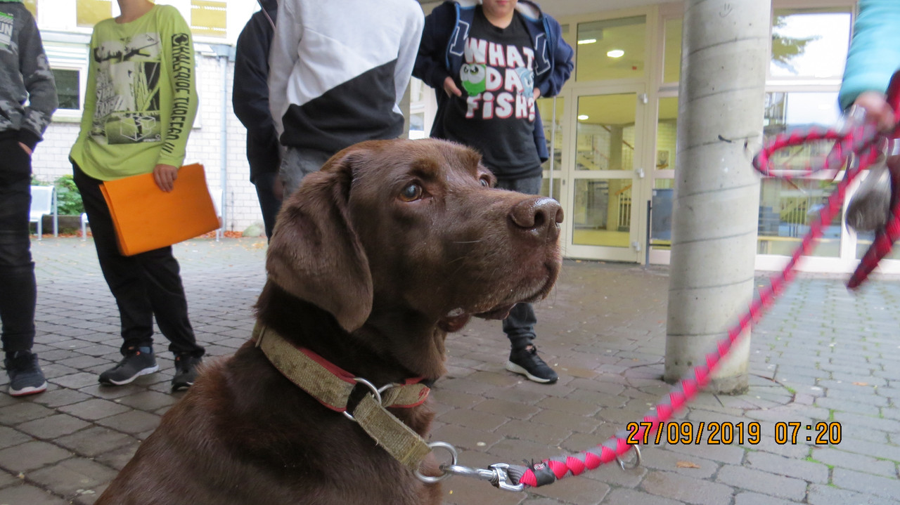 IMG 1523 — Postimages