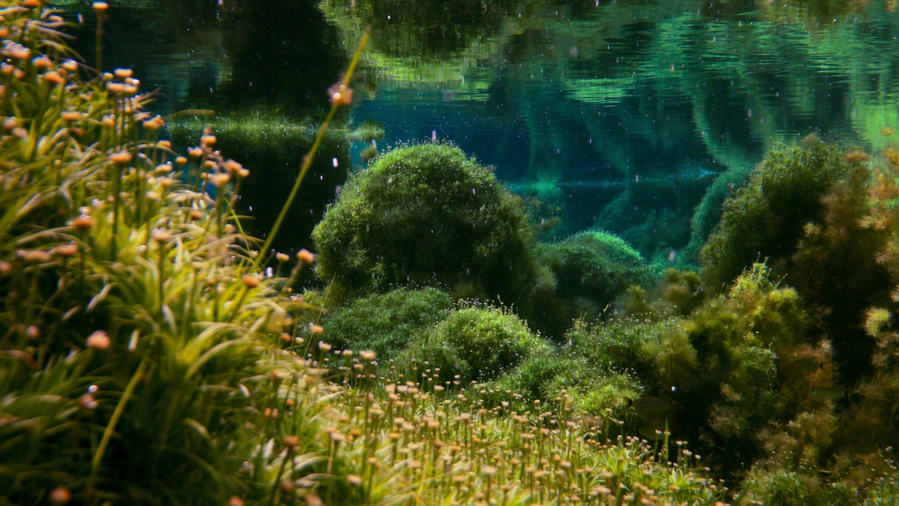 c5a8045700d9caaf44c9fb734be04683 — Postimages