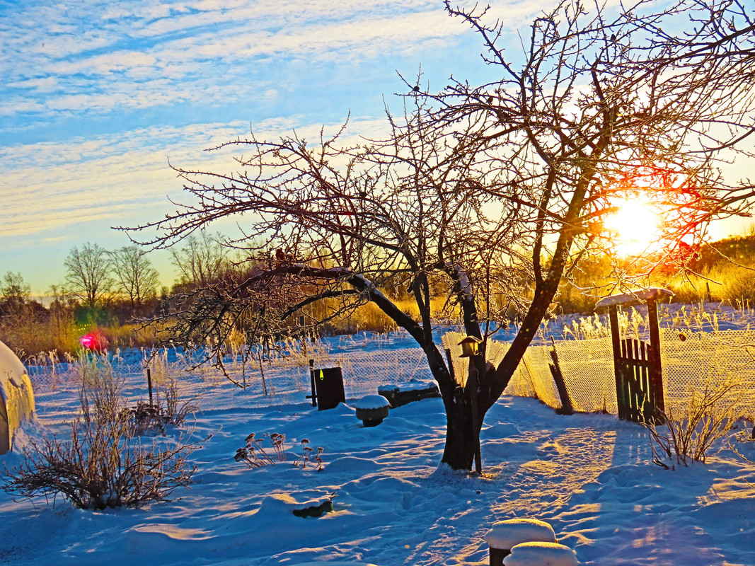 IMG 0177 — Postimages