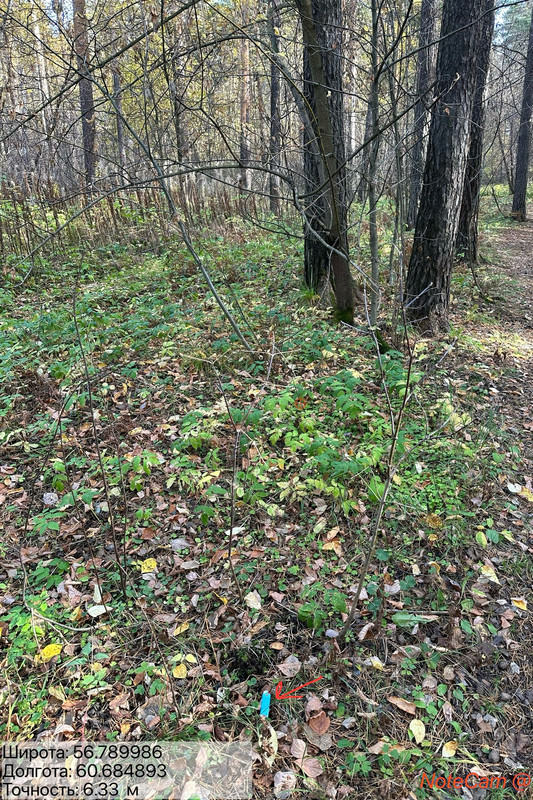 IMG 1013 — Postimages