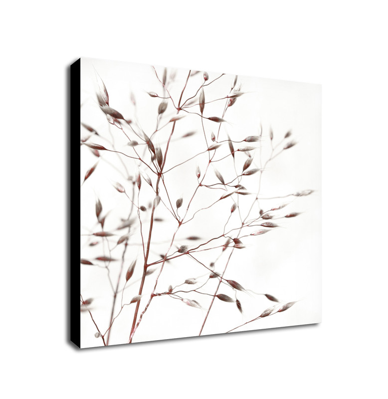 SIDE VIEW Other Listings — Postimages