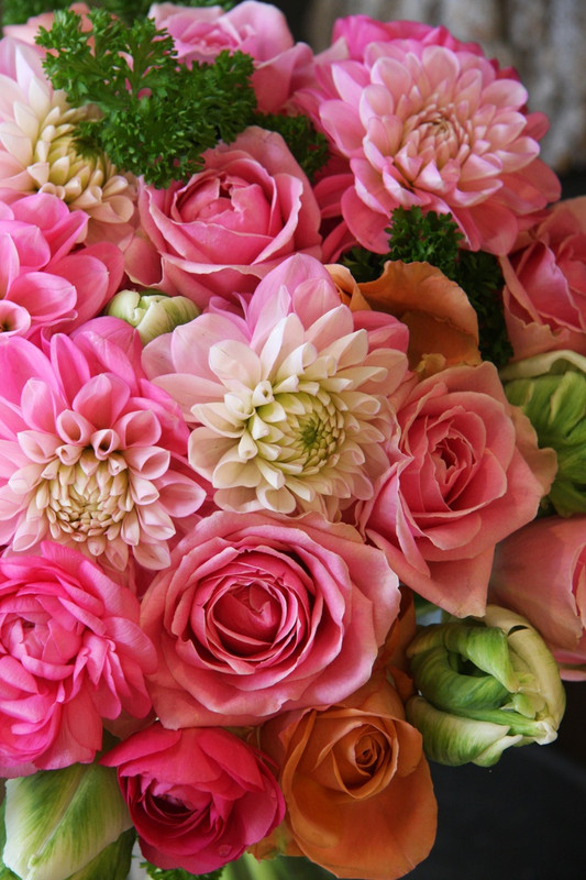 9fc65270afbf25b66aaed21463b65b01 exotic flowers pretty flowers — Postimages