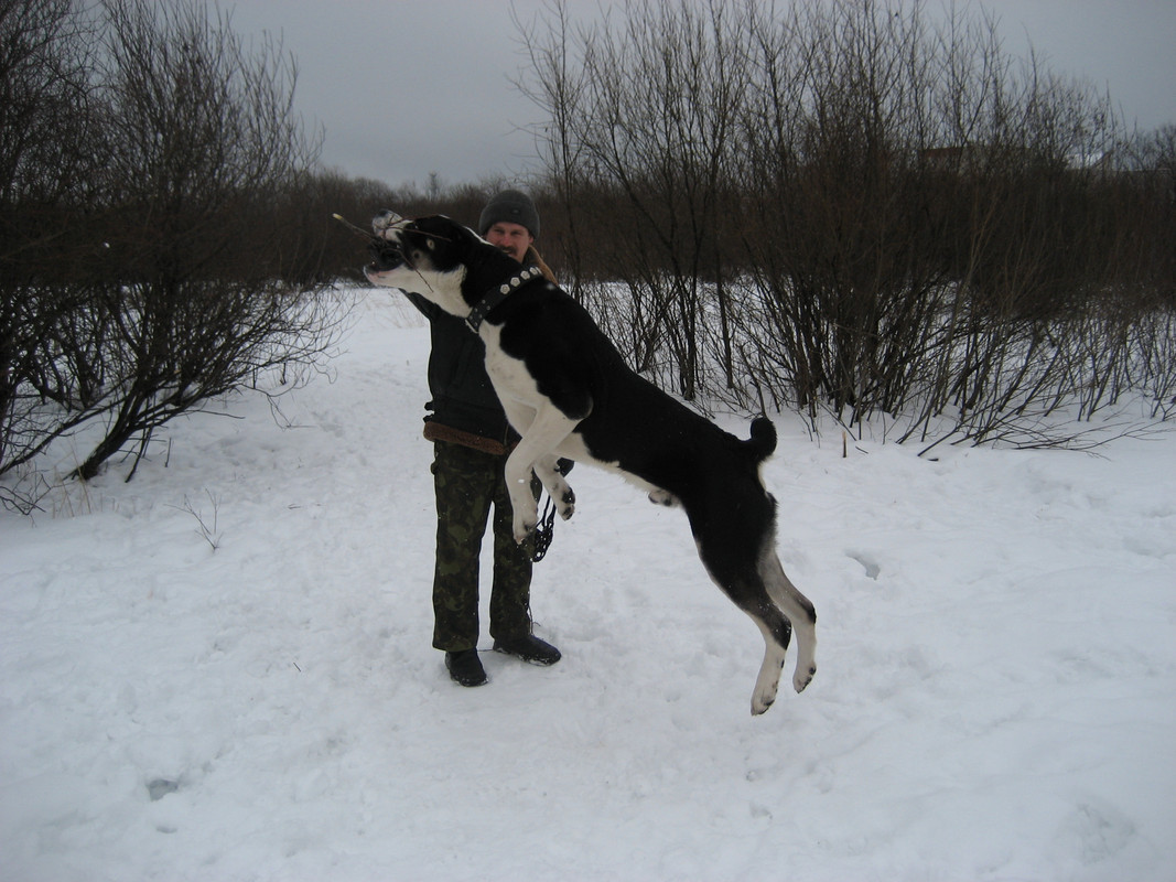 Изображение 058 — Postimages