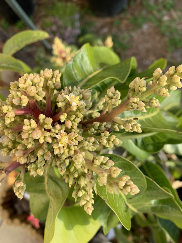 IMG 0654 — Postimages