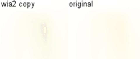 WIA2 is it really worth it?-VBForums