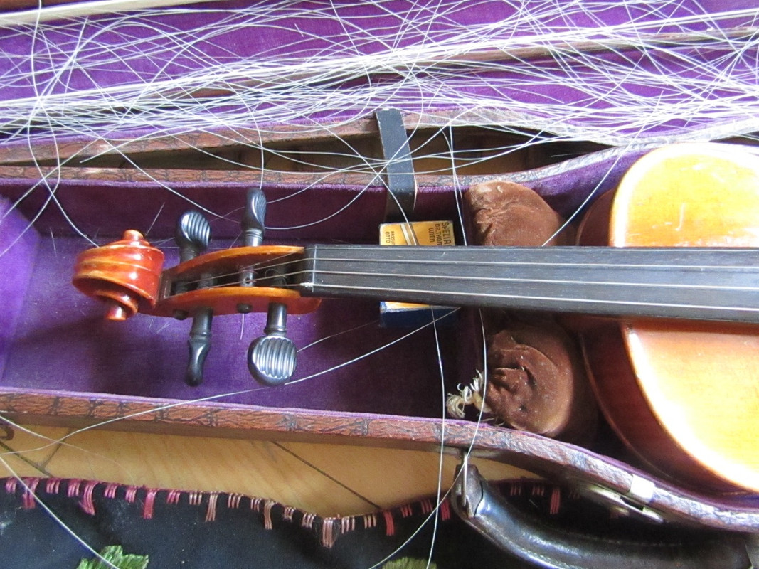 IMG 1202 — Postimages