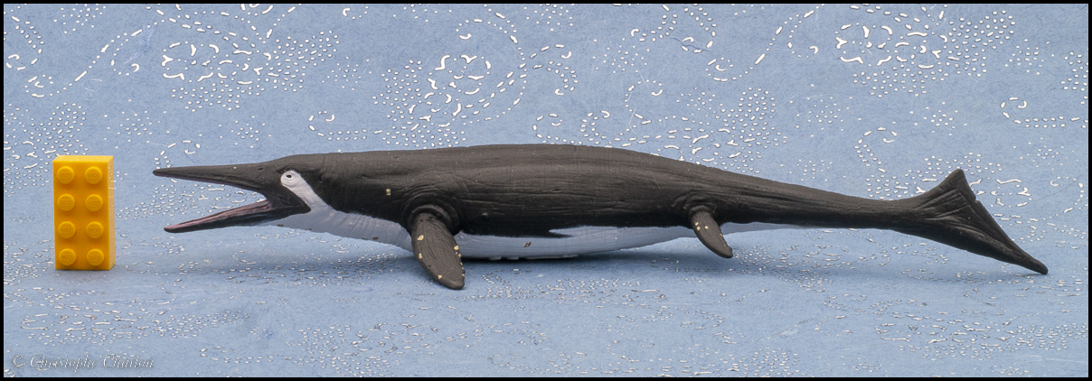 2023 CollectA 88974 Shastasaurus: a walkaround by Kikimalou