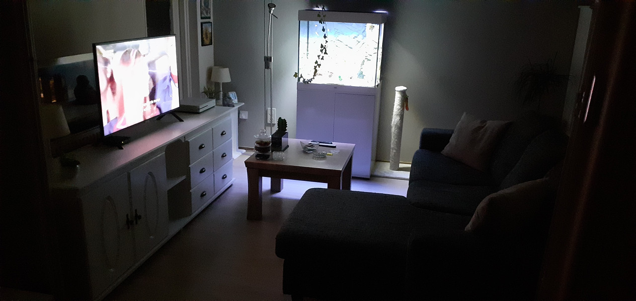 20230304 214652 — Postimages