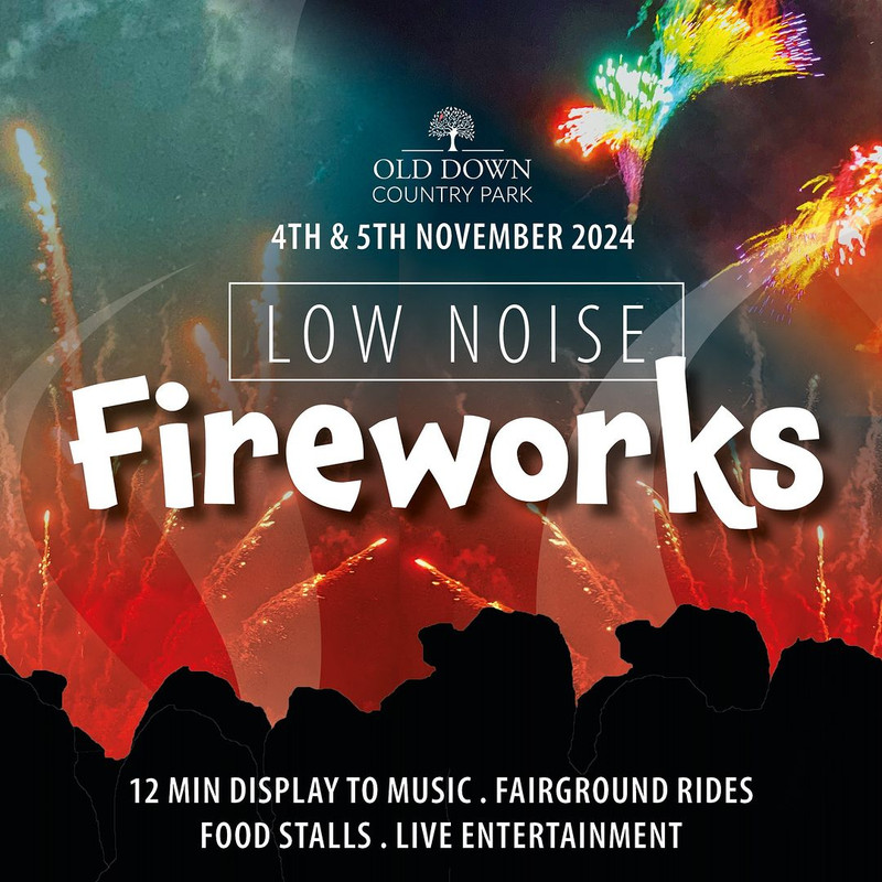 Bonfire Night and firework events in Bristol 2024 | Skiddle