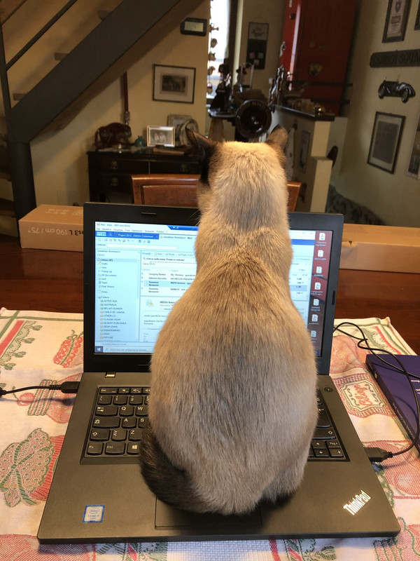 IMG 4978 — Postimages