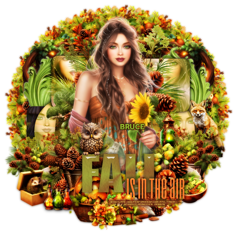 Bruce Fall in the air tag — Postimages