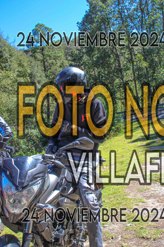 SC 119 — Postimages