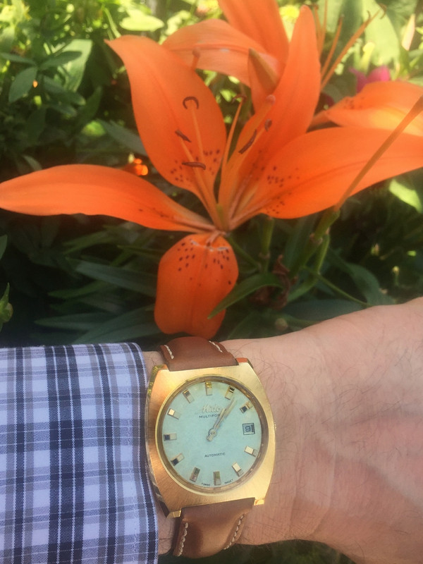 IMG 9448 — Postimages