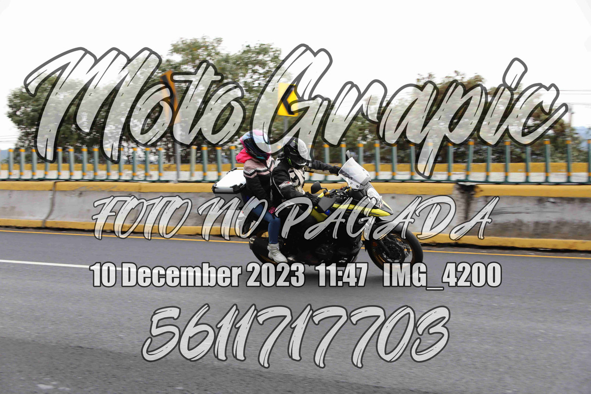 motgr IMG 4200 — Postimages