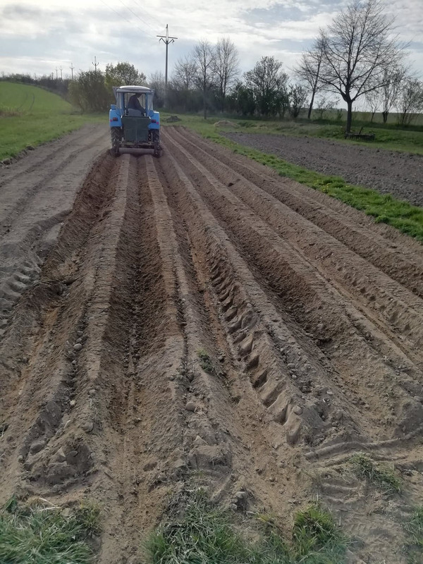 pole 2 — Postimages