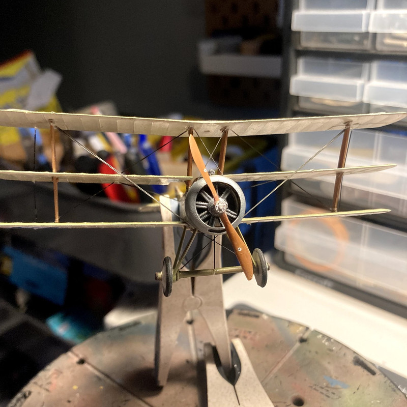 befunky 2023 10 6 20 52 42 — Postimages