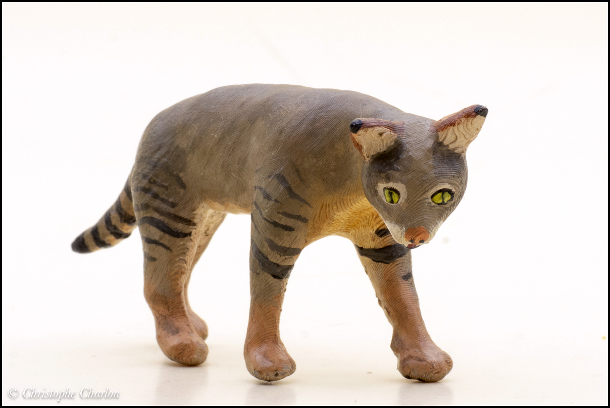 Santa Caracal wonderful gift