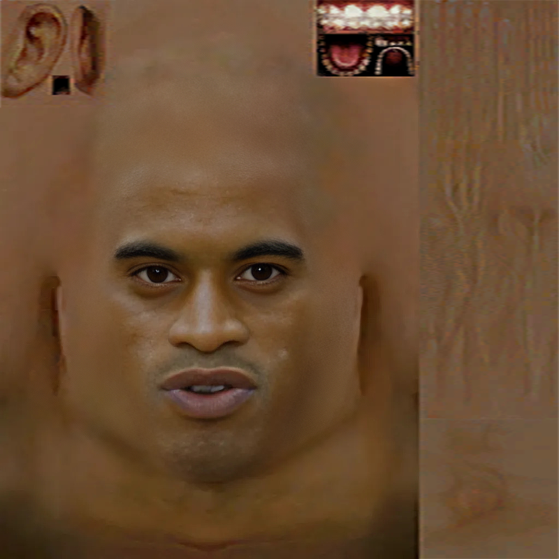 Reiziger face — Postimages