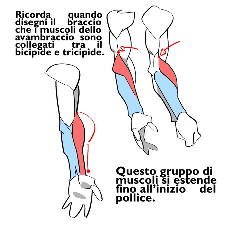 P0425 — Postimages