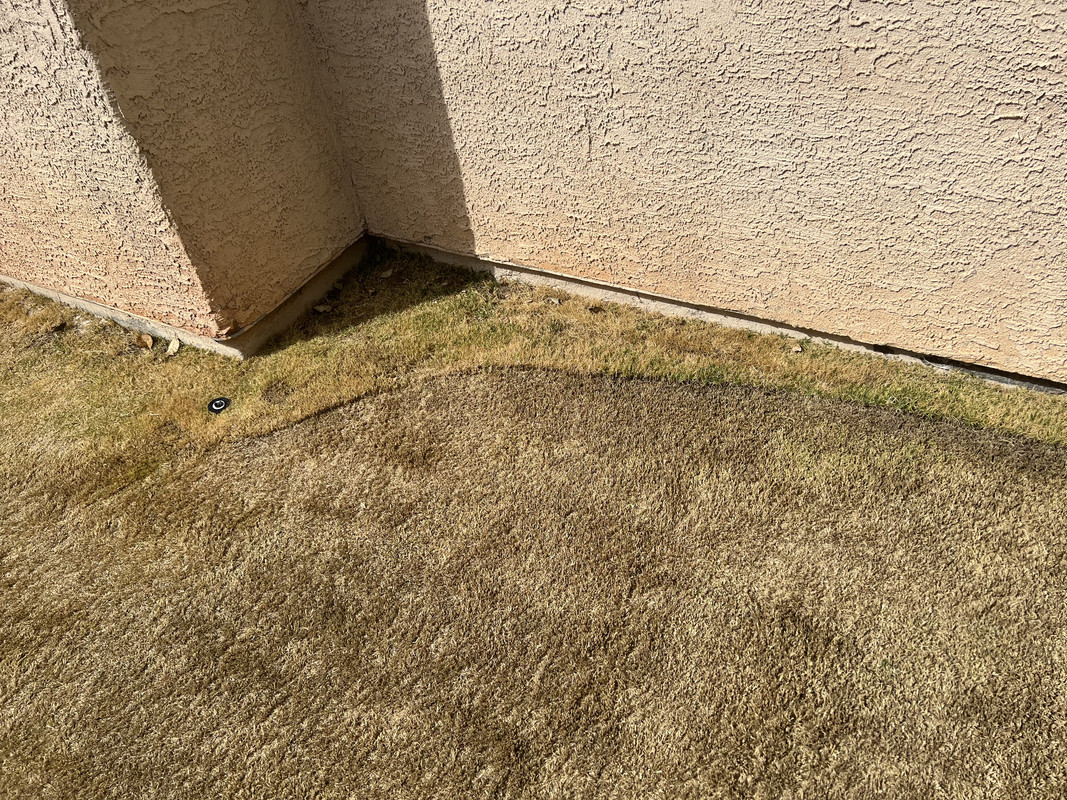 IMG 0150 — Postimages