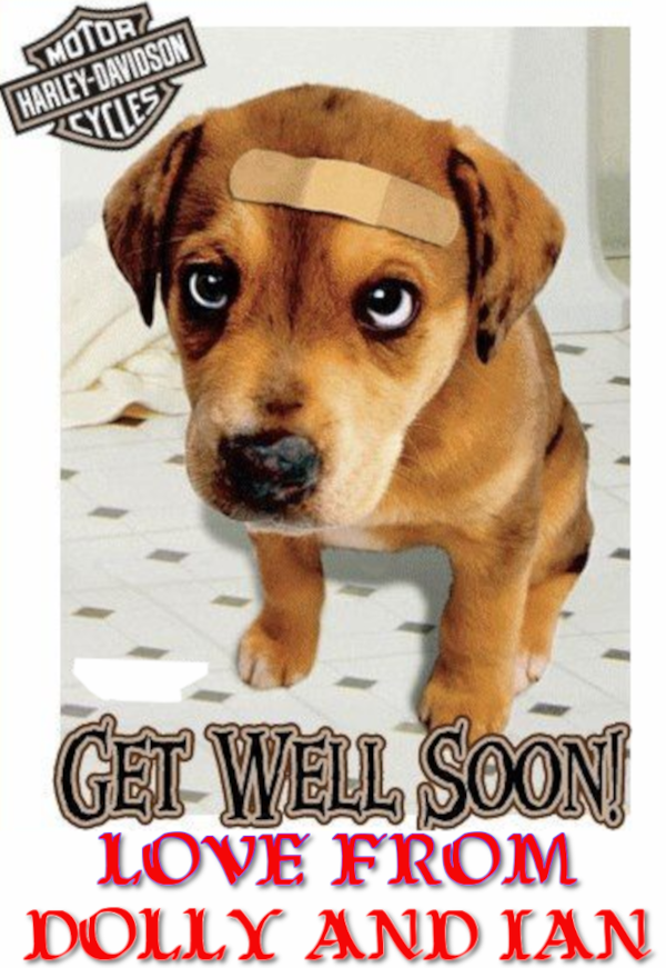 GET WELL SOON — Postimages