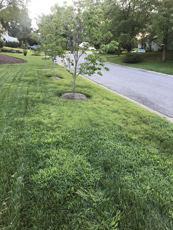 IMG 8658 — Postimages