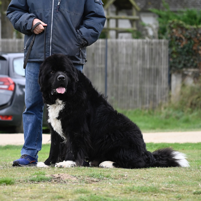 578664 A3 F252 4749 8237 25 ED5478969 B 1 201 a — Postimages