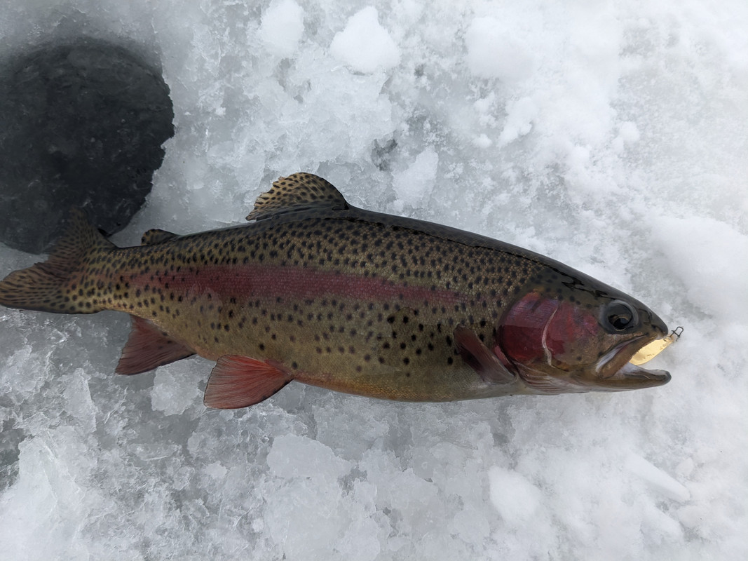 PXL 20250203 212103075 — Postimages