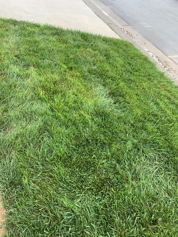 9 C0 C2 BB0 C963 412 B BA3 E E4 E7 F27 F3125 — Postimages