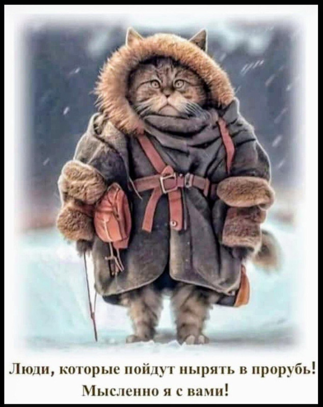 IMG 20250118 WA0000 — Postimages